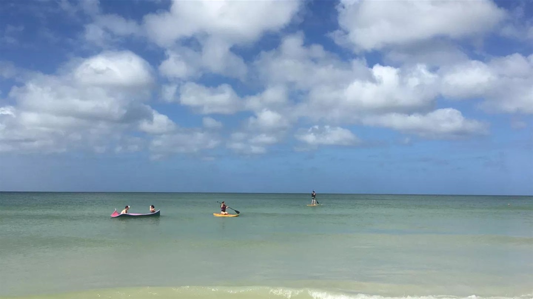 Current Beach Conditions | Paradise Coast