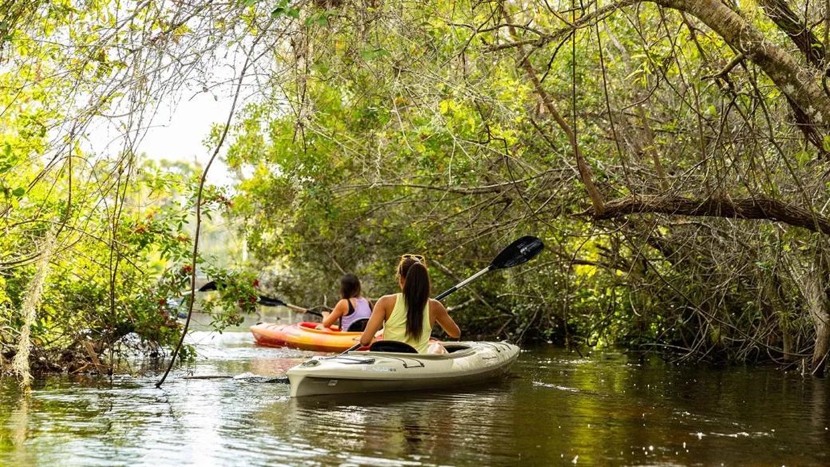 Paddle the Paradise Coast Blueway Trail | Paradise Coast