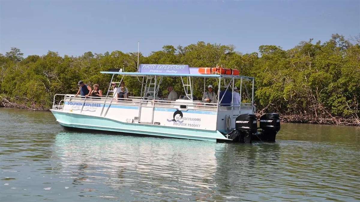 Wellness Retreats & Ecotours in the Everglades & Ten Thousand Islands ...