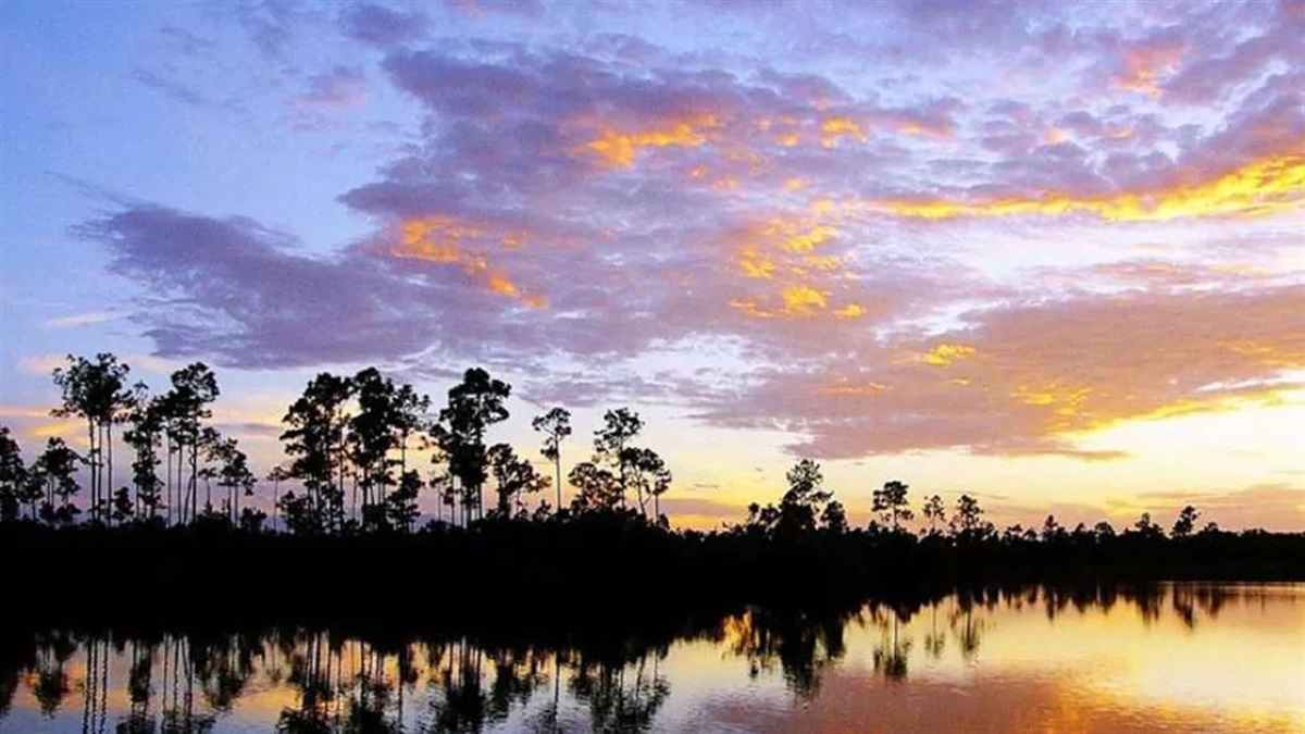 Explore Everglades National Park | Paradise Coast