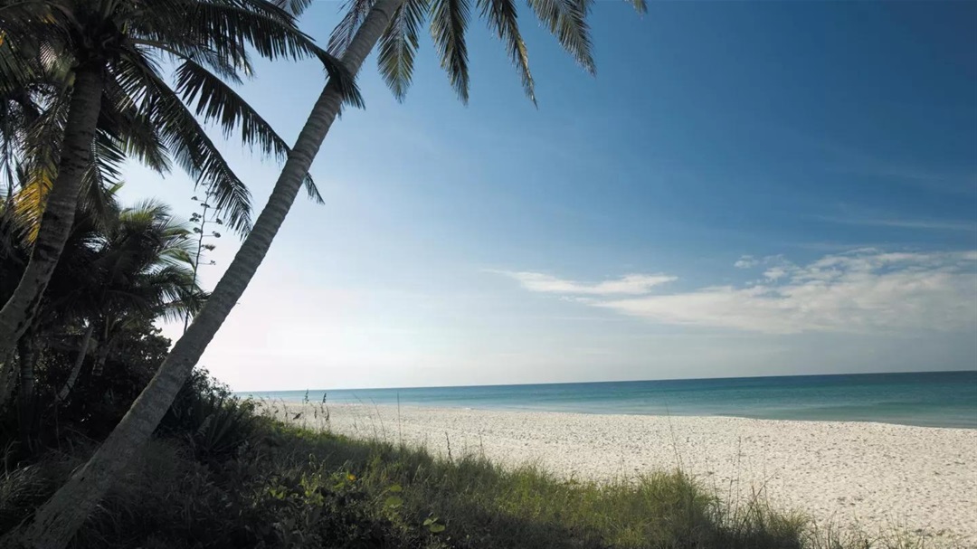 Find Your Beach | Paradise Coast